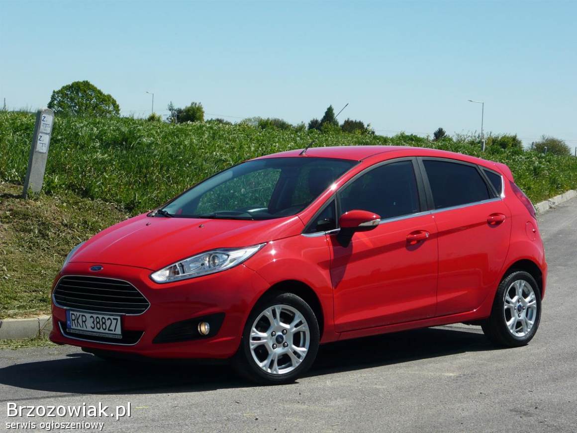 Ford Fiesta Mk7 2016 Krosno - Brzozowiak.pl